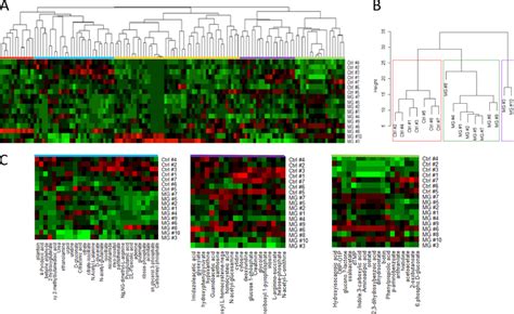 hierarchical clustering of csf metabolite composition a unsupervised