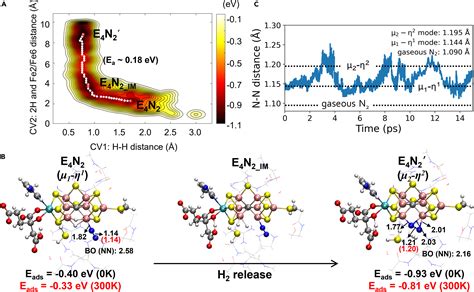 How Thermal Fluctuations Influence The Function Of The Femo Cofactor In