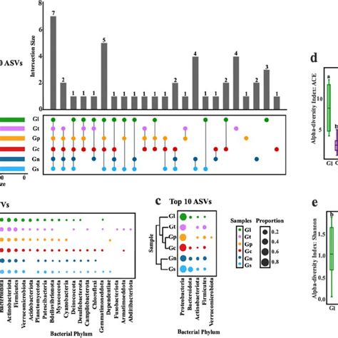 Gut Bacterial Interaction With Their Host Insects Af