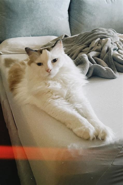 因為某些原因 今天跟妹妹的婆家一起吃飯 沒想到我那老父親竟然在宴席上 跟親家母說 「我這女兒什麼都不會，您要多教她」 天哪！ 我是還活在民國初期，滿清剛被推翻嗎？ 當下妹妹立刻反應 「你怎麼