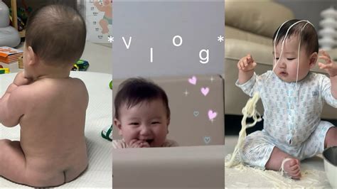 육아vlog 8개월 아기는 뭐먹고 뭐하고 놀까 👶🏻🤍 Youtube