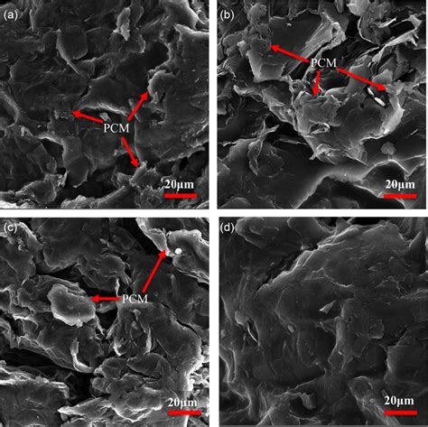 Structural Analysis Of Pcm Composites Scanning Electron Microscope Download Scientific Diagram