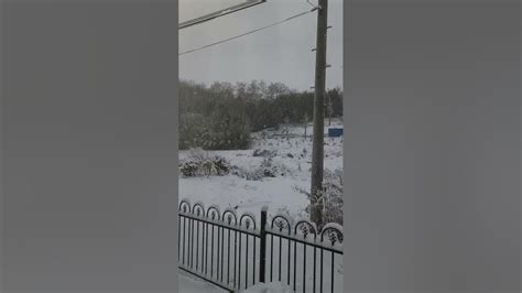 눈 내리는 시골 Youtube