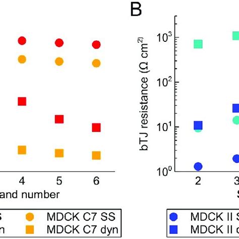 Comparison Between The Dynamic And Steady State Models Comparison Download Scientific Diagram