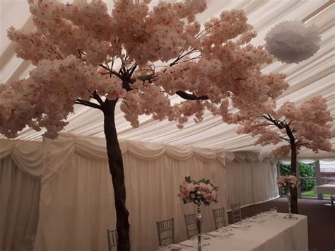 Trees For Decoration At Weddings 20171016 132736 1024x768 Guidedecor Com