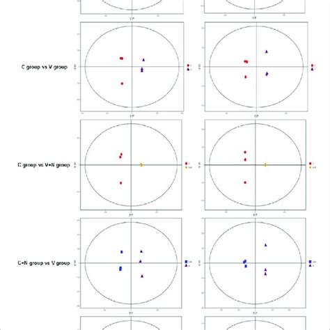 Clustering And Very High Segregation In Different Treatment Groups Download Scientific Diagram