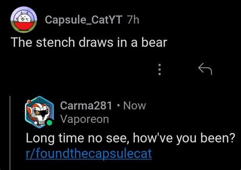 R Eevee Anyone R Foundthecapsulecat