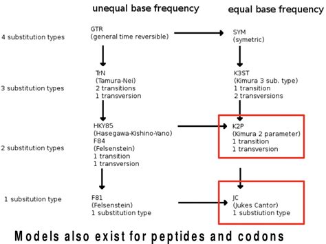263 Distance Based Methods Biology Libretexts