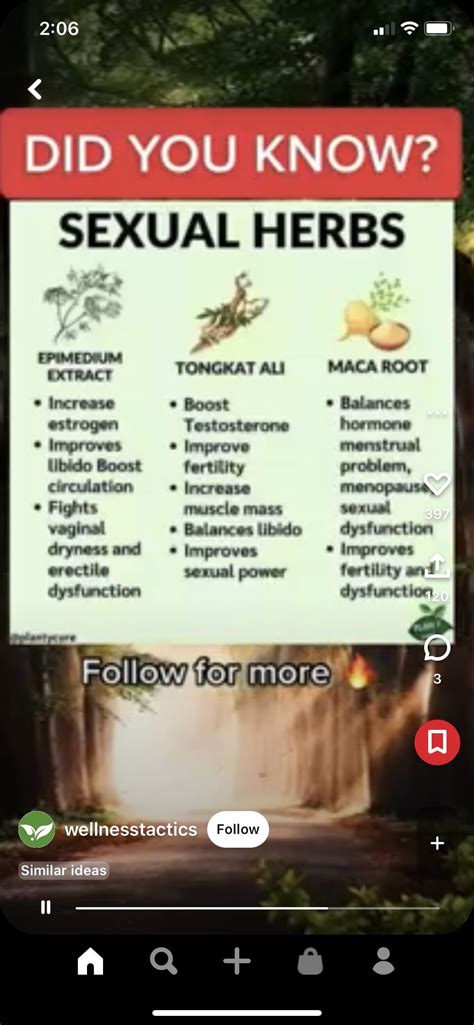 Pin On Healing Fruits And Herbs