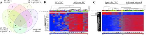 Differentially Methylated Loci By Tissue Phenotype A Venn Diagram Download Scientific Diagram