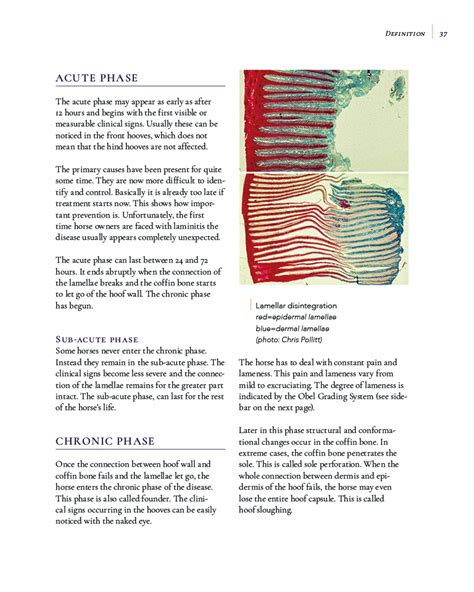 Laminitis Understanding Cure Prevention Softcover