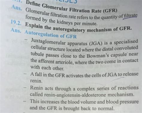 Ans Define Glomerular Filtration Rate Gfrglomerular Filtration Rate R