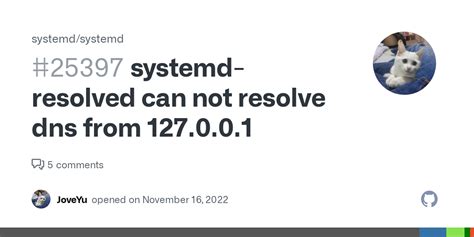 Systemd Resolved Can Not Resolve Dns From 127 0 0 1 Issue 25397