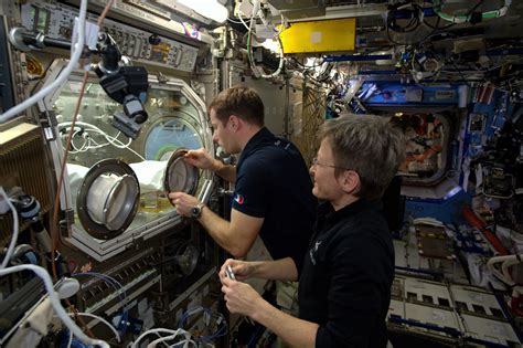 Esa European Microgravity Science Glovebox