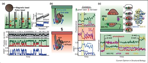 Figure 2 From Recent Advances In Single Molecule ﬂuorescence Microscopy Render Structural
