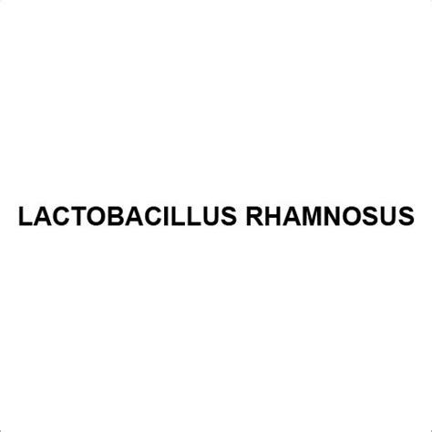 Lactobacillus Rhamnosus at Best Price in Nashik, Maharashtra | Sk ...