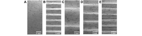 Micrographs Of Polished Sections From The A Unidirectional B
