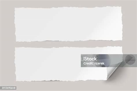 벡터 흰색 현실적인 종이 접착 수평 스티커 곡선 모서리와 투명 배경에 곡물 질감 오래된에 대한 스톡 벡터 아트 및 기타 이미지