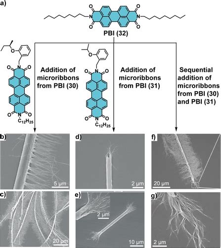 Increasing Dimensionality In Self‐assembly Toward Two‐dimensional Supramolecular Polymers