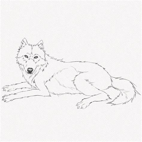 Easy Drawing Of A Wolf