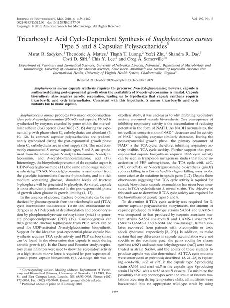 Pdf Tricarboxylic Acid Cycle Dependent Synthesis Of Staphylococcus Aureus Type 5 And 8