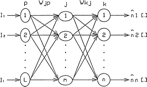 Back Propagation Network Download Scientific Diagram