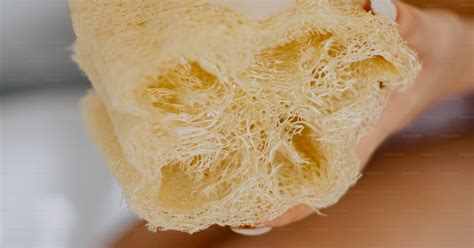 손에 음식 조각을 들고 있는 사람 사진 Unsplash의 스펀지 이미지