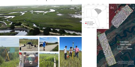 Figure 1 From Drone Lidar Deep Learning For Fine Scale Bare Earth Surface And 3d Marsh Mapping