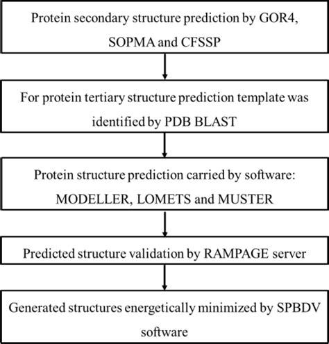 Workflow Of Molecular Modelling Download Scientific Diagram