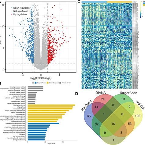 Molecular Signatures Associated With Dnmt3a In Aml A Volcano Plot Of