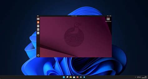 如何从 Windows 11 访问 Linux 分区