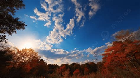 하늘에 태양이 있는 구름과 나무로 가득한 하늘 아름다운 하늘 428 가을 하늘 배경 일러스트 및 사진 무료 다운로드 Pngtree