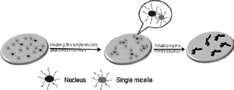 A Schematic Representation Of The Possible Process For The Aggregation Download Scientific