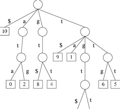 Suffix Trie For The String X Atatgtttgt Download Scientific Diagram