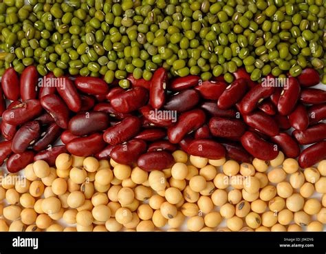 Green Bean Soy Beans And Red Bean Background Different Types Of Beans