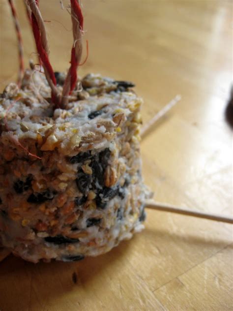 How To Make A Bird Feeder