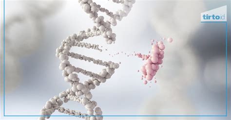 Contoh Mutagen Biologi Kimia Fisika Beserta Penjelasannya
