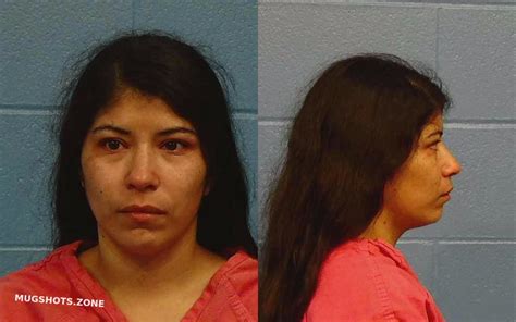 Ortiz Beatrice Rosalinda 11 11 2022 Williamson County Mugshots Zone
