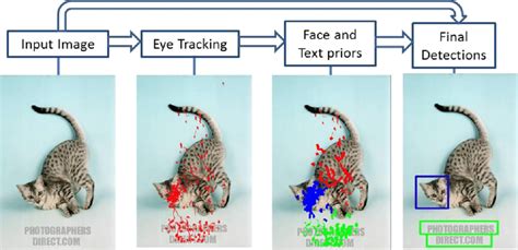 1 Left To Right 1 Input Image 2 Eye Tracking Fixation Samples From Download Scientific