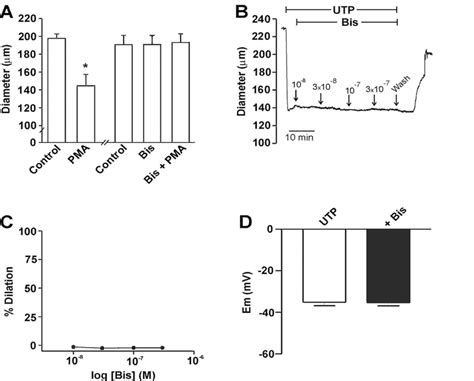 The Constriction And Depolarization Induced By Utp Is Not Dependent On Download Scientific
