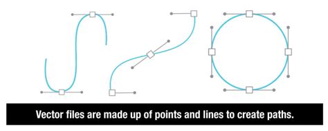 pixels and paths navigating the world of vector and raster files ata