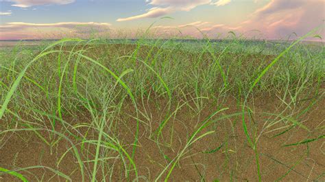 Grass Particle Talk GameDev Tv