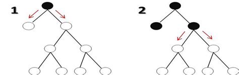 Flooding Algorithm Download Scientific Diagram