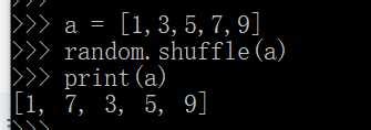 Pythonrandom Python Random