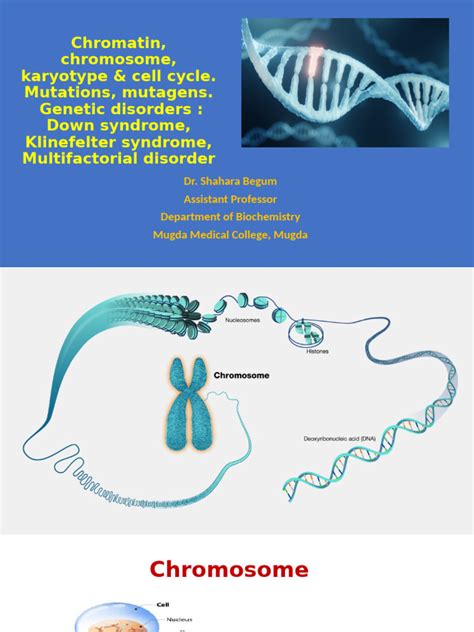 Mutation Genetic Disorder Pdf Point Mutation Mutation