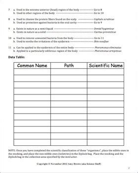 Free Dichotomous Classification Key To Holiday Giving By Amy Brown Science