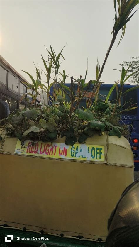 suraj soni on linkedin greeninitiative sustainability greenindia urbanfarming…