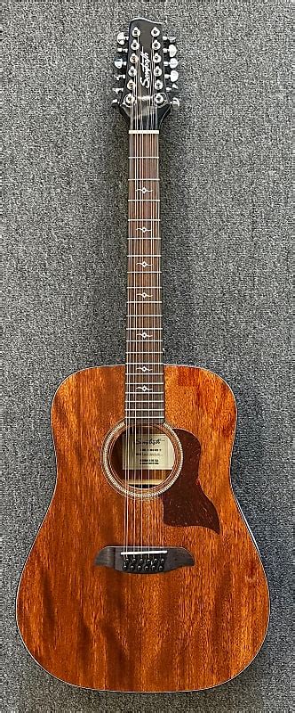 Sawtooth Acoustic Electric 12 String Dreadnaught Gtr Reverb