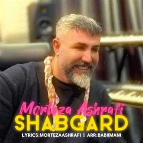 دانلود آهنگ جدید مرتضی اشرفی شبگرد بهترین کیفیت و متن آهنگ