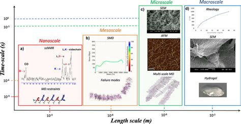 Sbp Multiscale Modeling A Full Understanding Of The Hierarchical Download Scientific Diagram